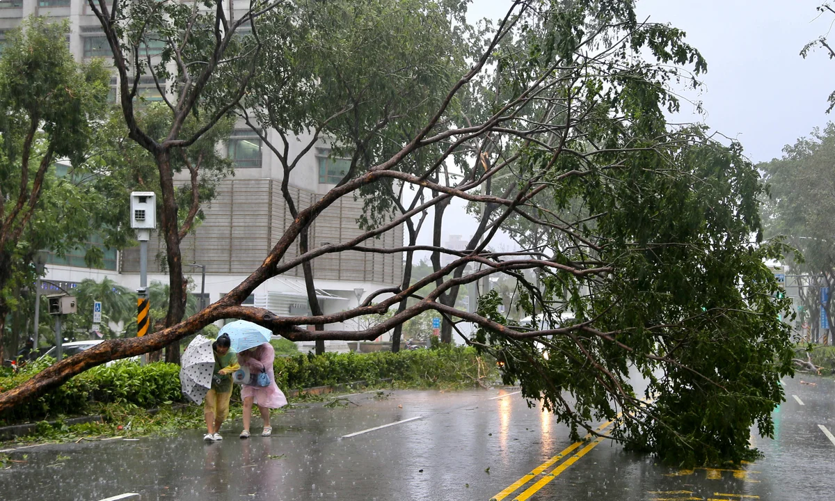 Typhoons Expected in Taiwan: 3 to 5 Storms Forecast for 2025 ...