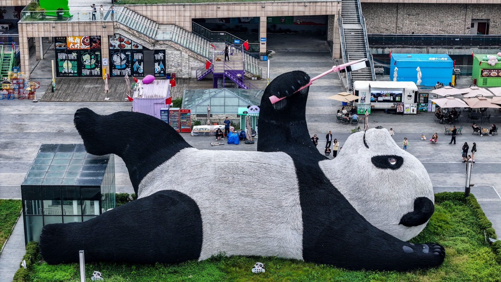 China Giant Pandas Become Global Cultural Icons