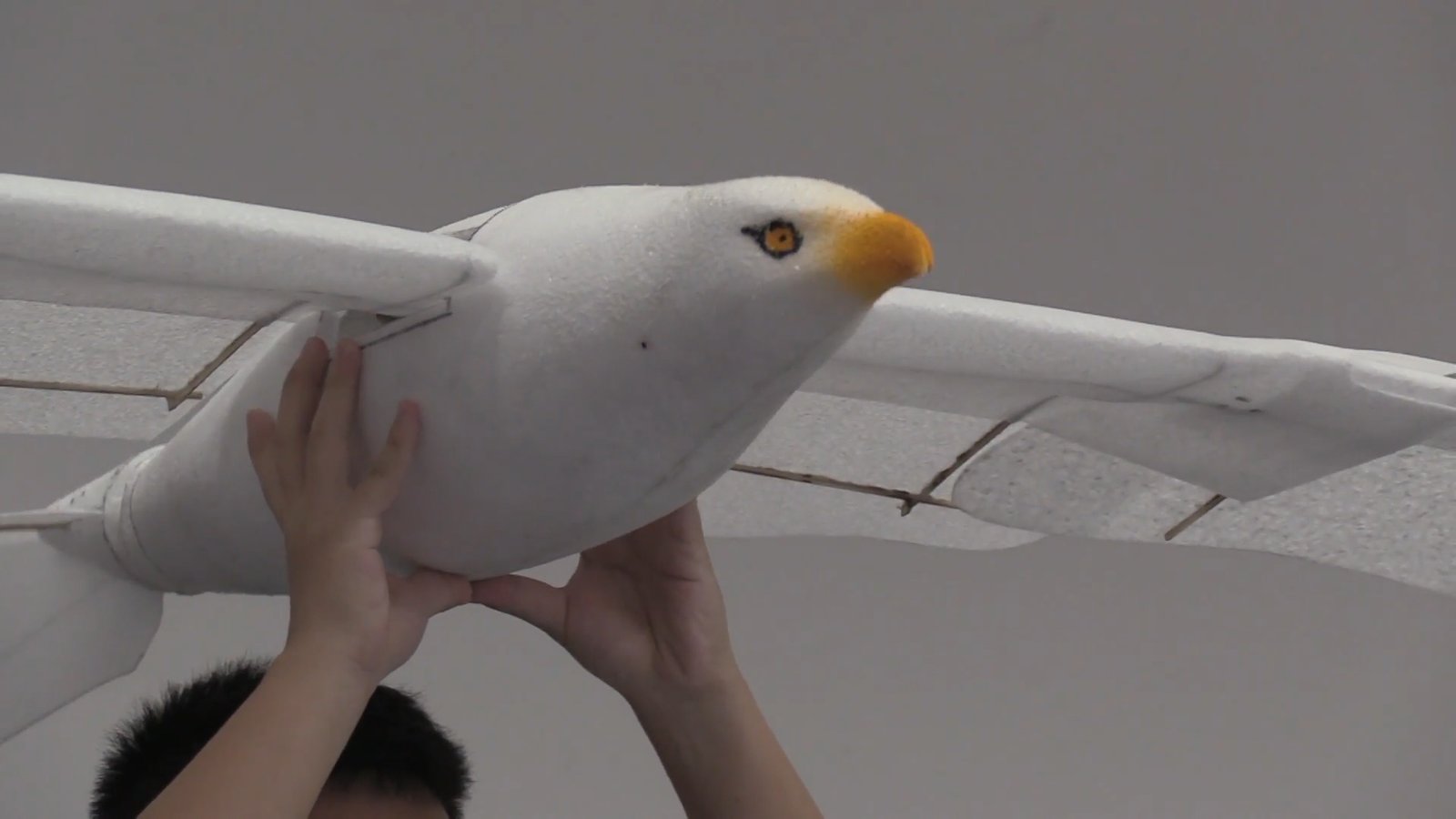Bird-Inspired Robot Achieves Autonomous Flight