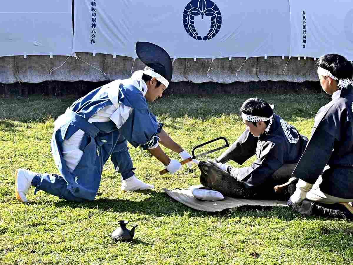 Antler-Cutting Ceremony Held in Nara